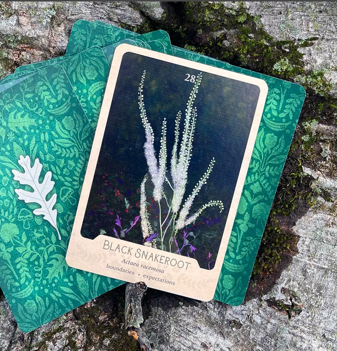 The Southern Botanic Oracle