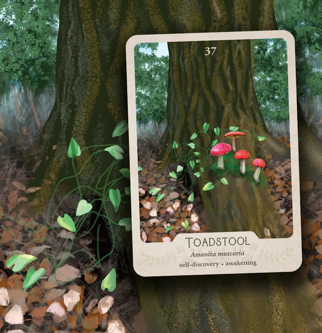 The Southern Botanic Oracle